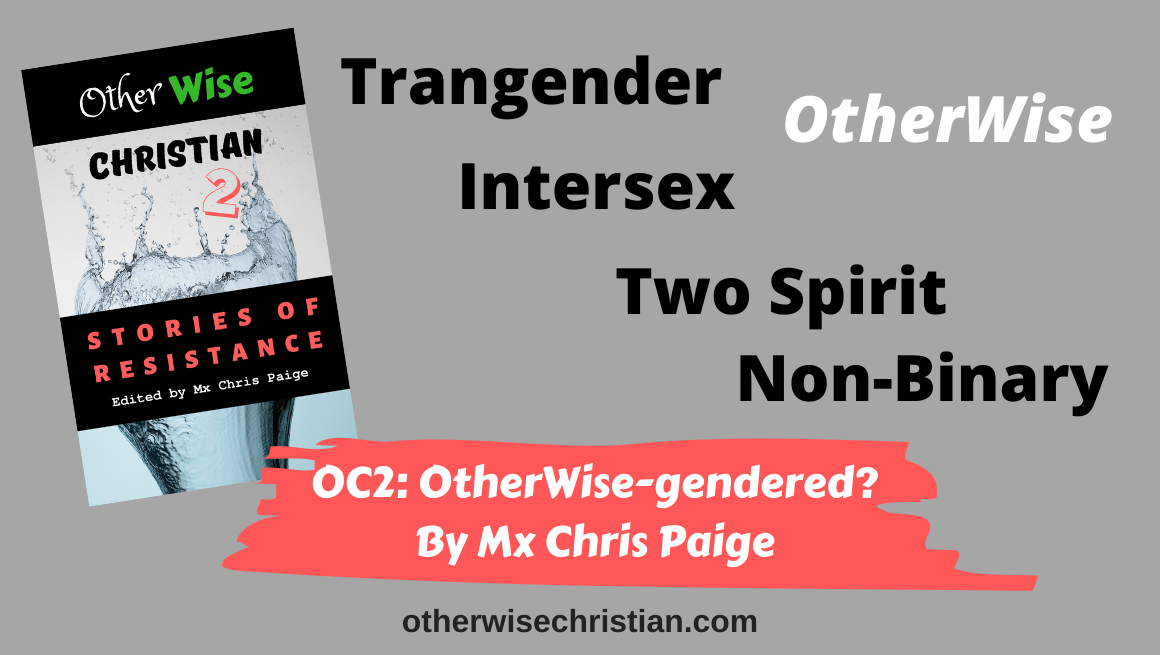 OC2: What is “OtherWise-gendered”? – OtherWise Christian
